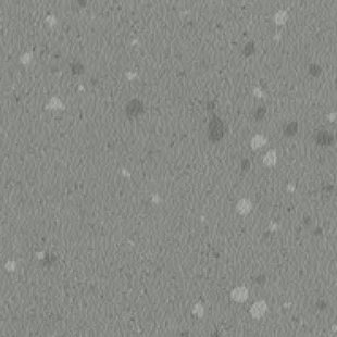 Dolphin Grey - Melbourne Flooring